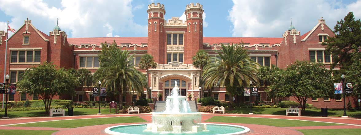 Faculty and Staff Profiles: Master of Social Work | FSU Online Faculty and Staff Profiles: Master of Social Work | FSU Online