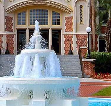 Message from the Dean: David W. Springer | FSU Online